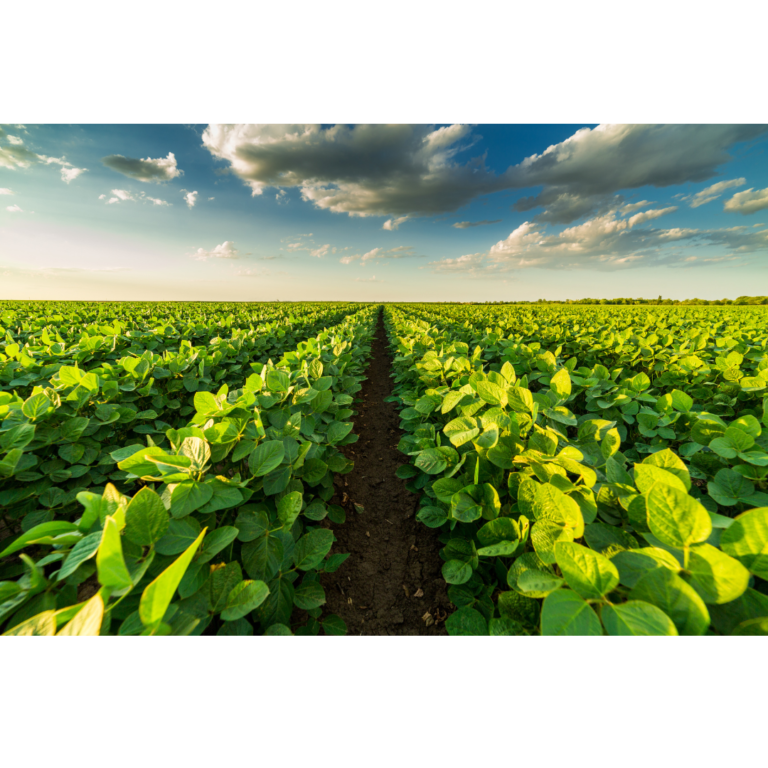 ESA Phi-Lab Spain: Impulsando la innovación para comercializar ...